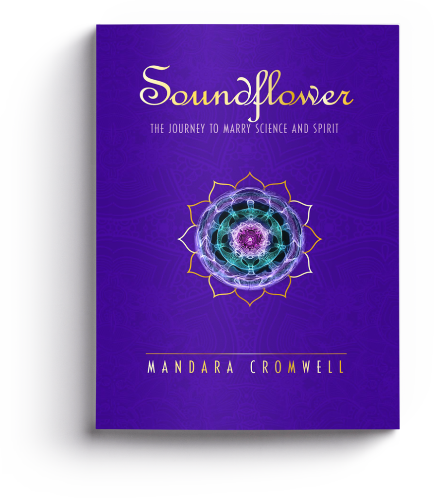 Soundflower | Cyma Technologies
