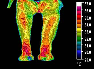 AMI Devices | Cyma Technologies