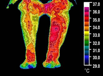 AMI Devices | Cyma Technologies
