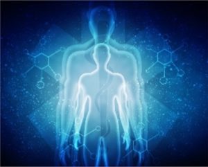 Store | Cyma Technologies